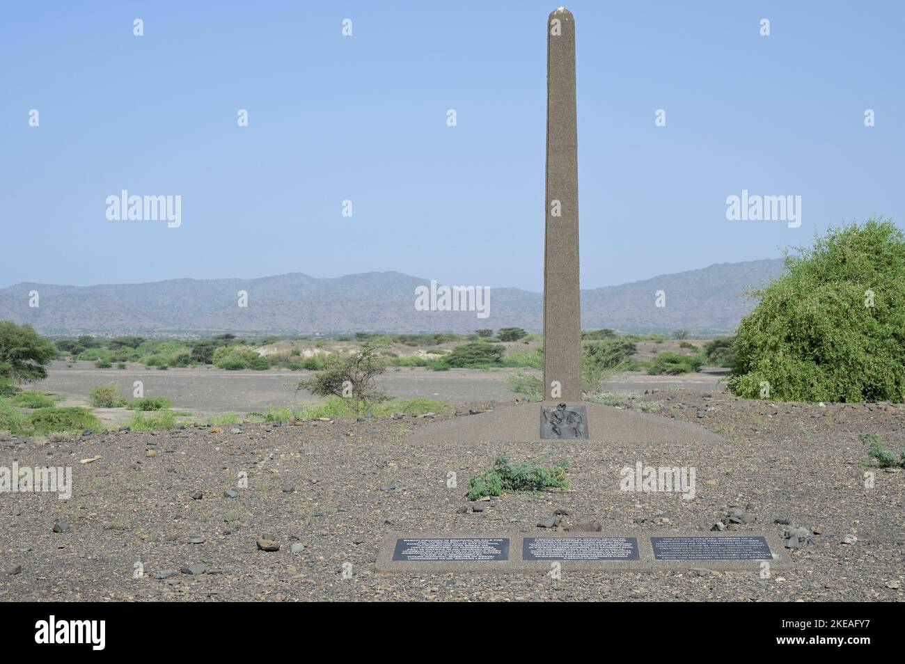 Turkana boy fossil hi-res stock photography and images - Alamy