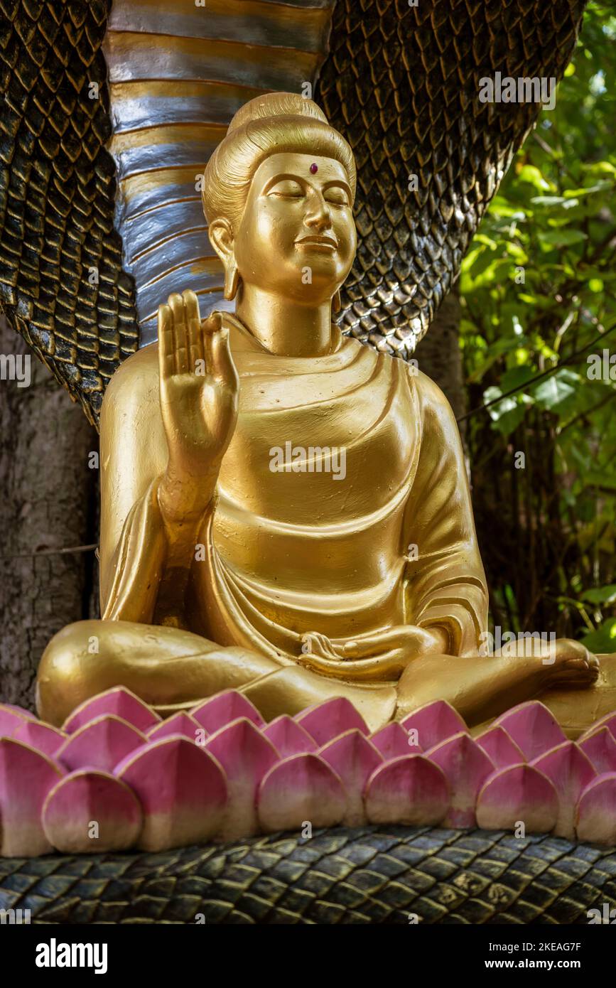 Jed symbol hi-res stock photography and images - Alamy