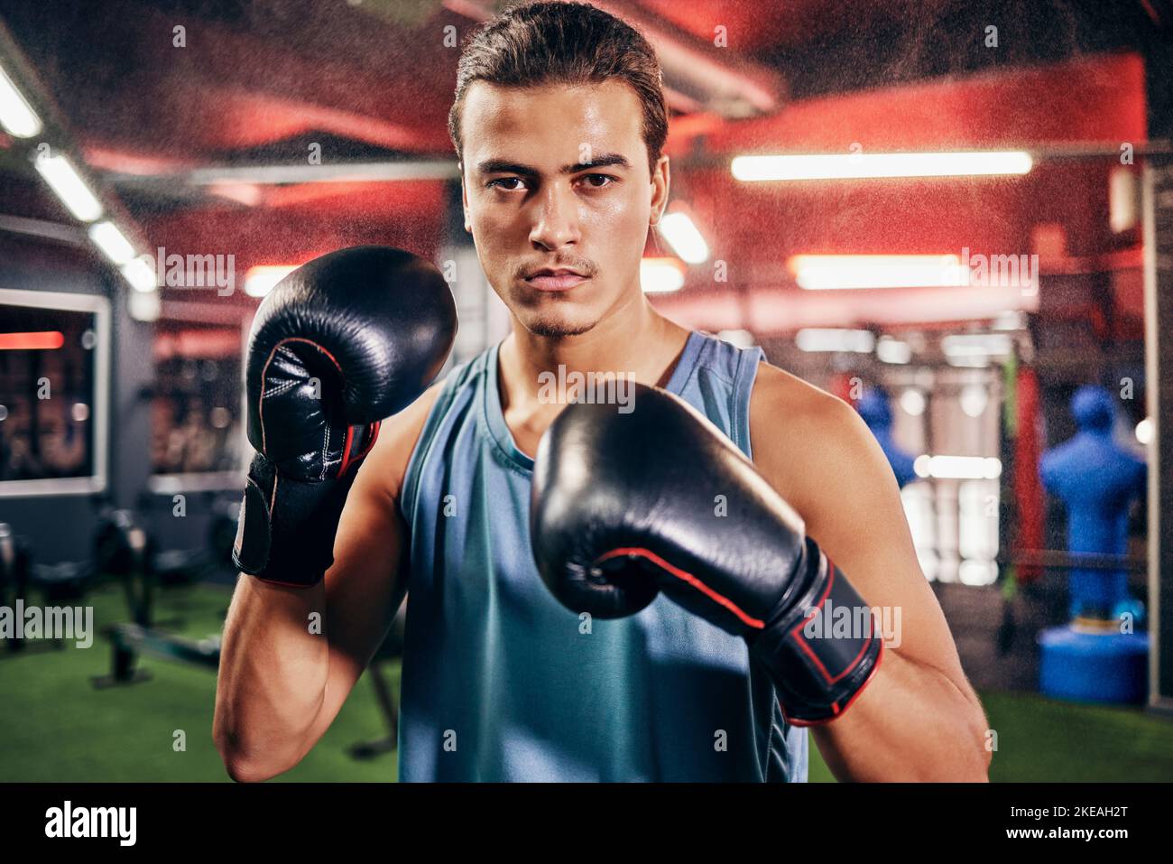 Fitness, sports or motivation man boxer in gym studio with gloves for ...