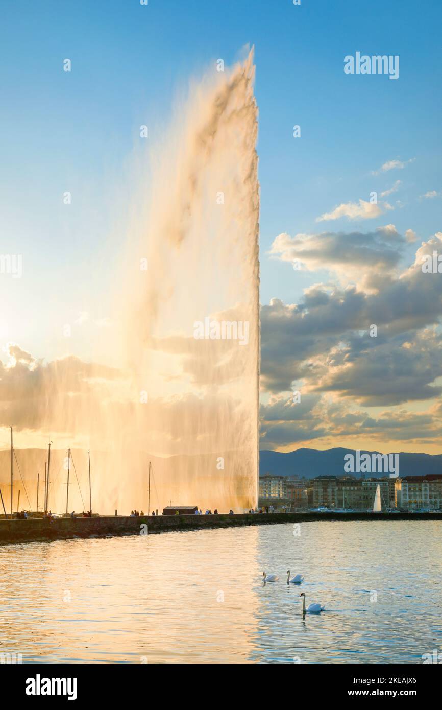 Jet d'eau, landmark of the Lake Geneva at sunset, Switzerland, Kanton ...
