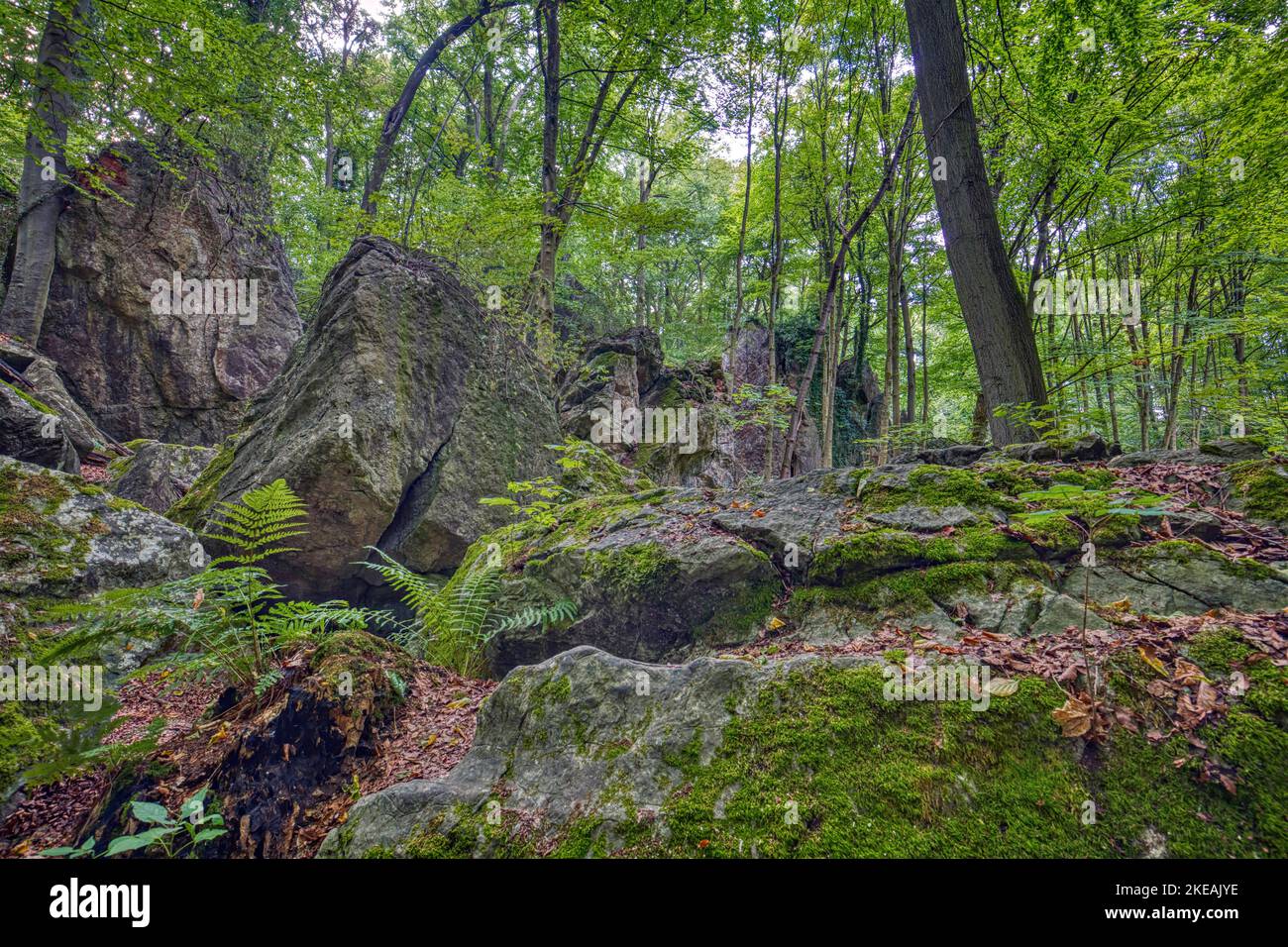 sea of rocks, Felsenmeer Hemer, Germany, North Rhine-Westphalia ...
