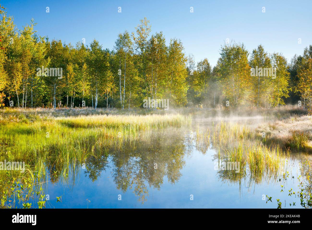 First morning sun over a glassy moor lake with fog patches, Switzerland ...