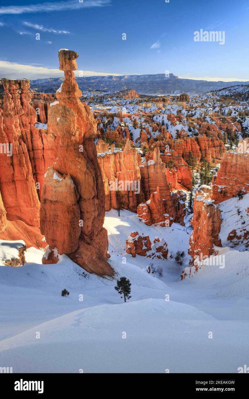 Bryce Canyon in winter, view from Sunset Point, hoodoos from limestone ...