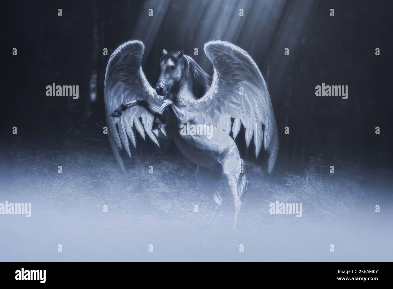 Chimera legs hi-res stock photography and images - Alamy