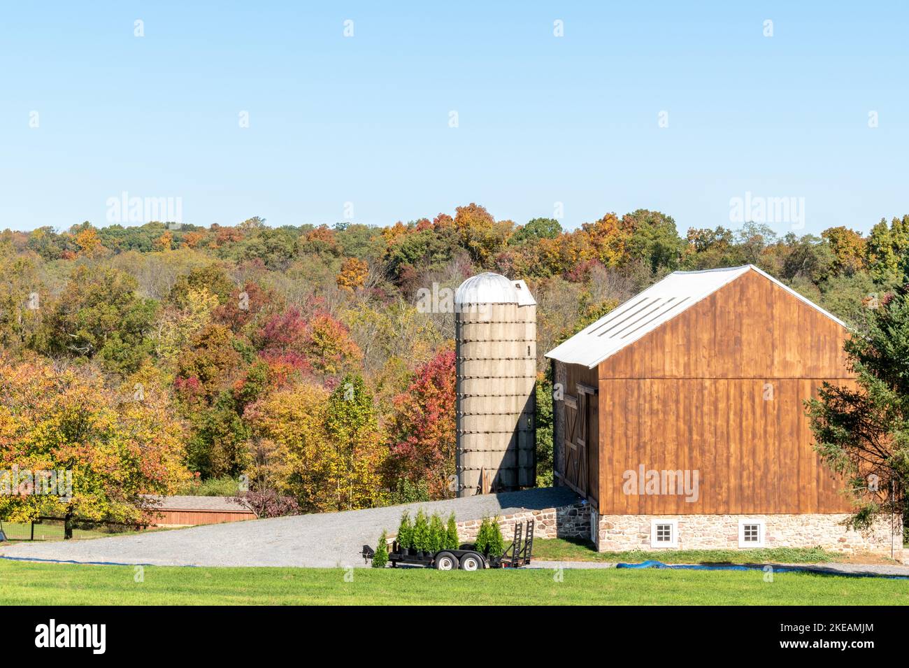 Bard trees hi-res stock photography and images - Alamy