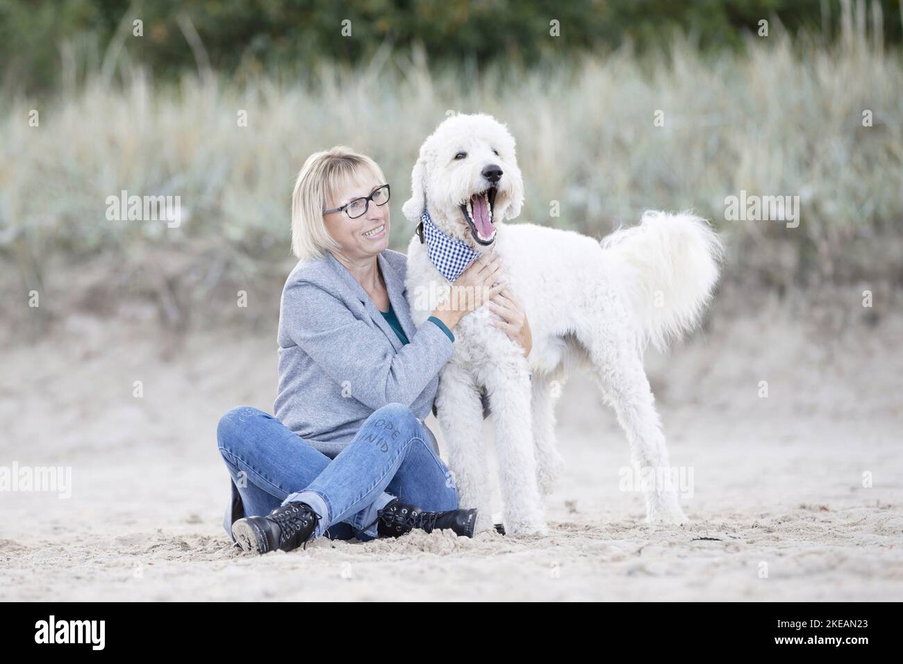 woman and Labradoodle Stock Photo - Alamy