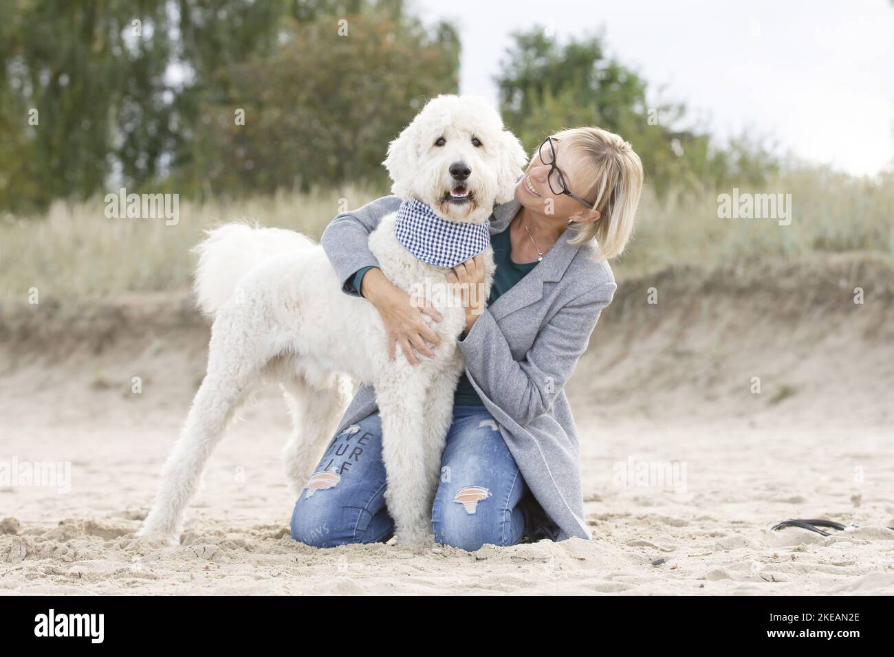 woman and Labradoodle Stock Photo - Alamy