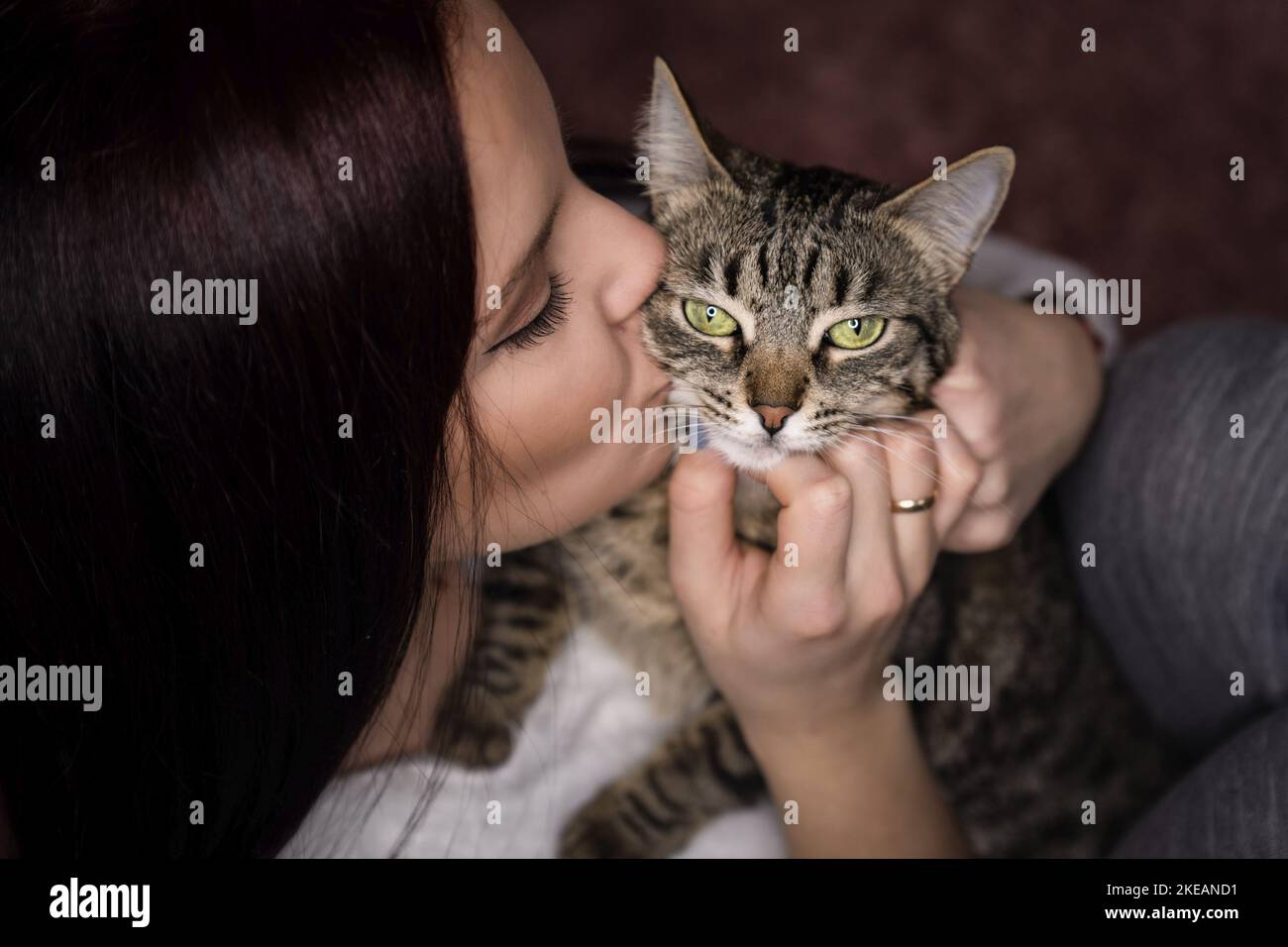 Woman kisses cat hi-res stock photography and images - Alamy