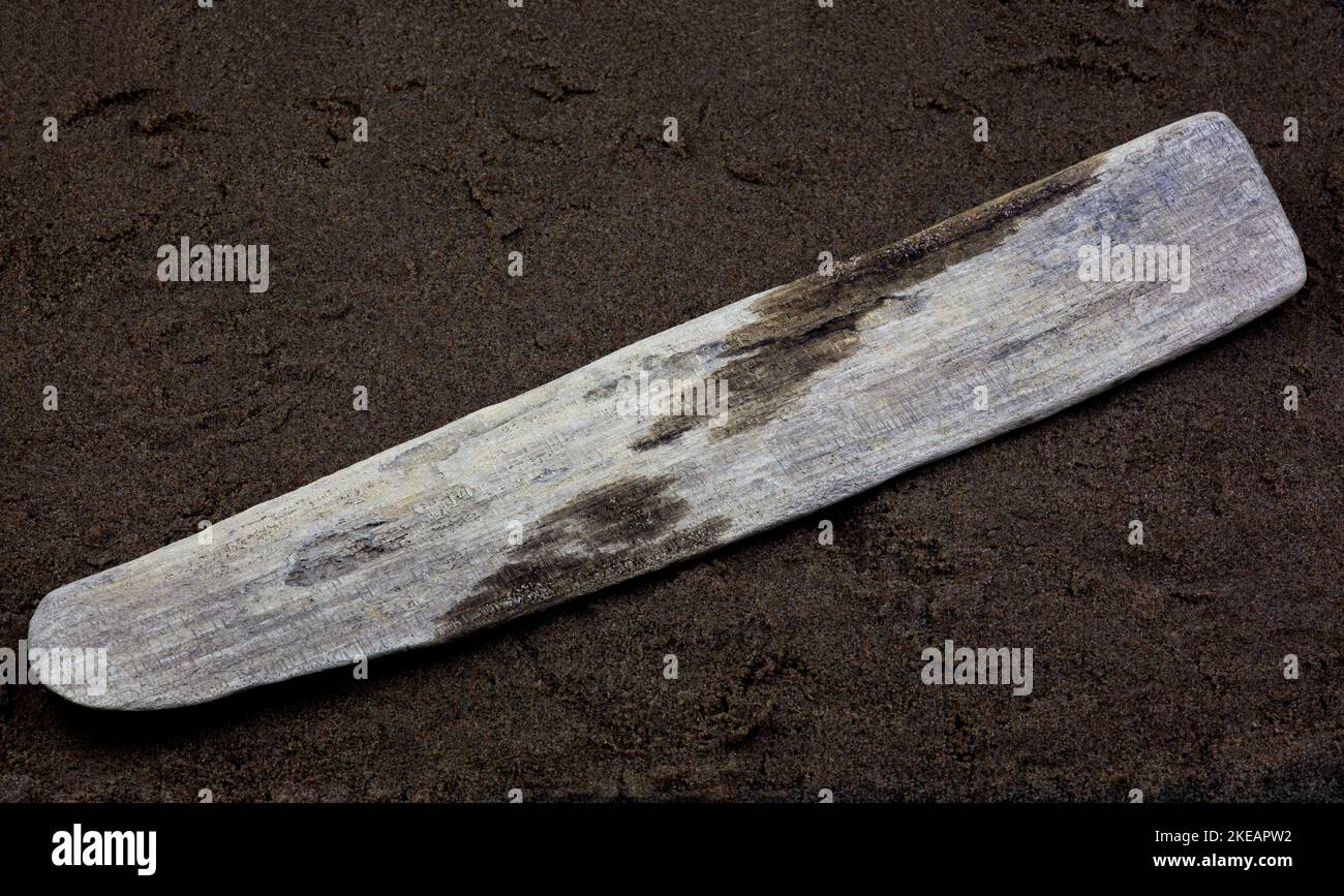 Piece of driftwood washed up on a wet sandy beach Stock Photo - Alamy