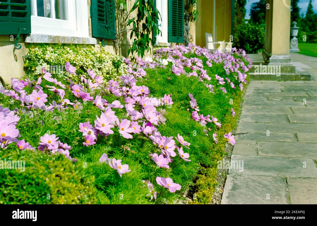 Polesden Lacey in Surrey. A National Trust Property, shot on Film in ...