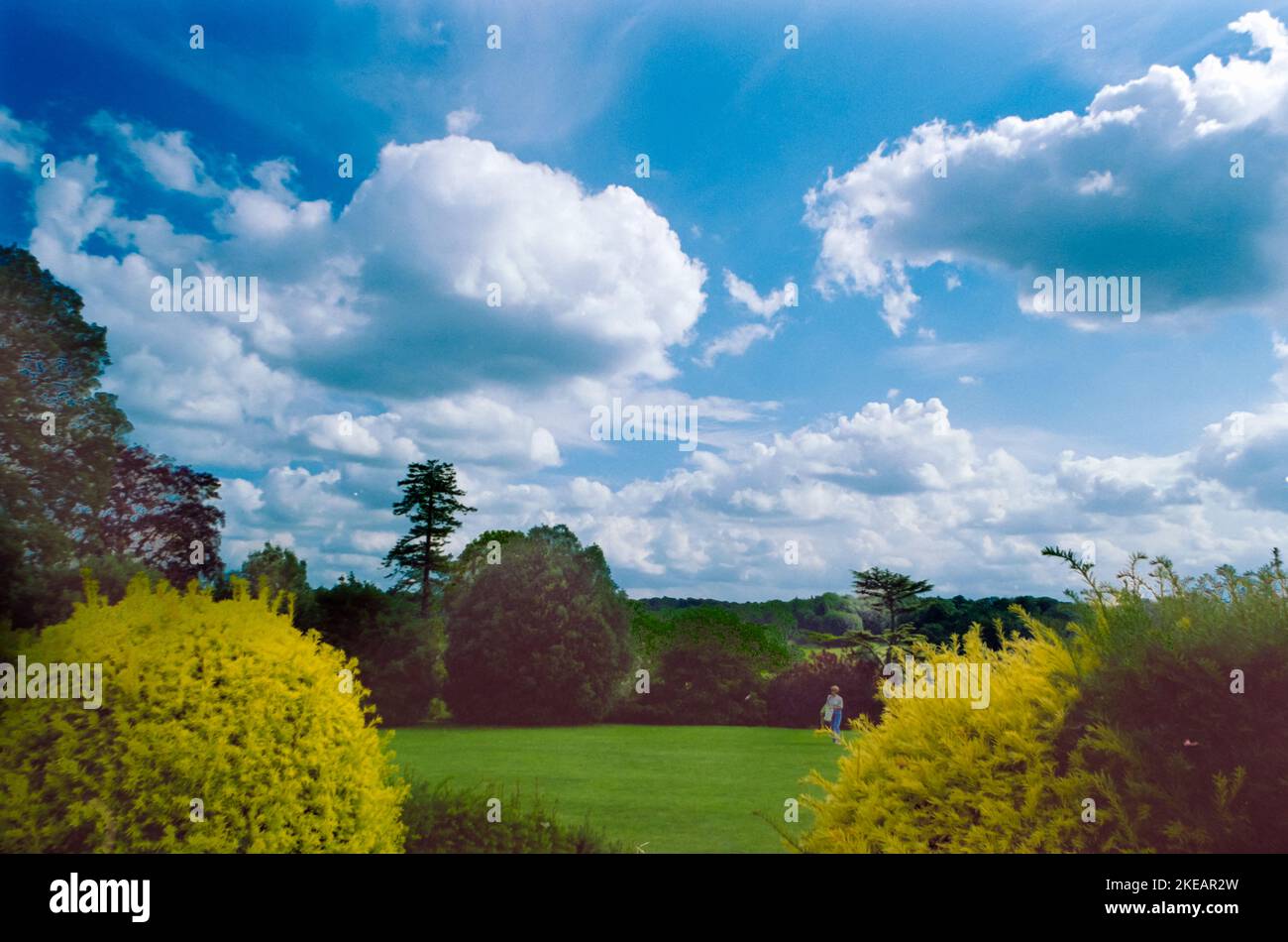 Polesden Lacey in Surrey. A National Trust Property, shot on Film in ...