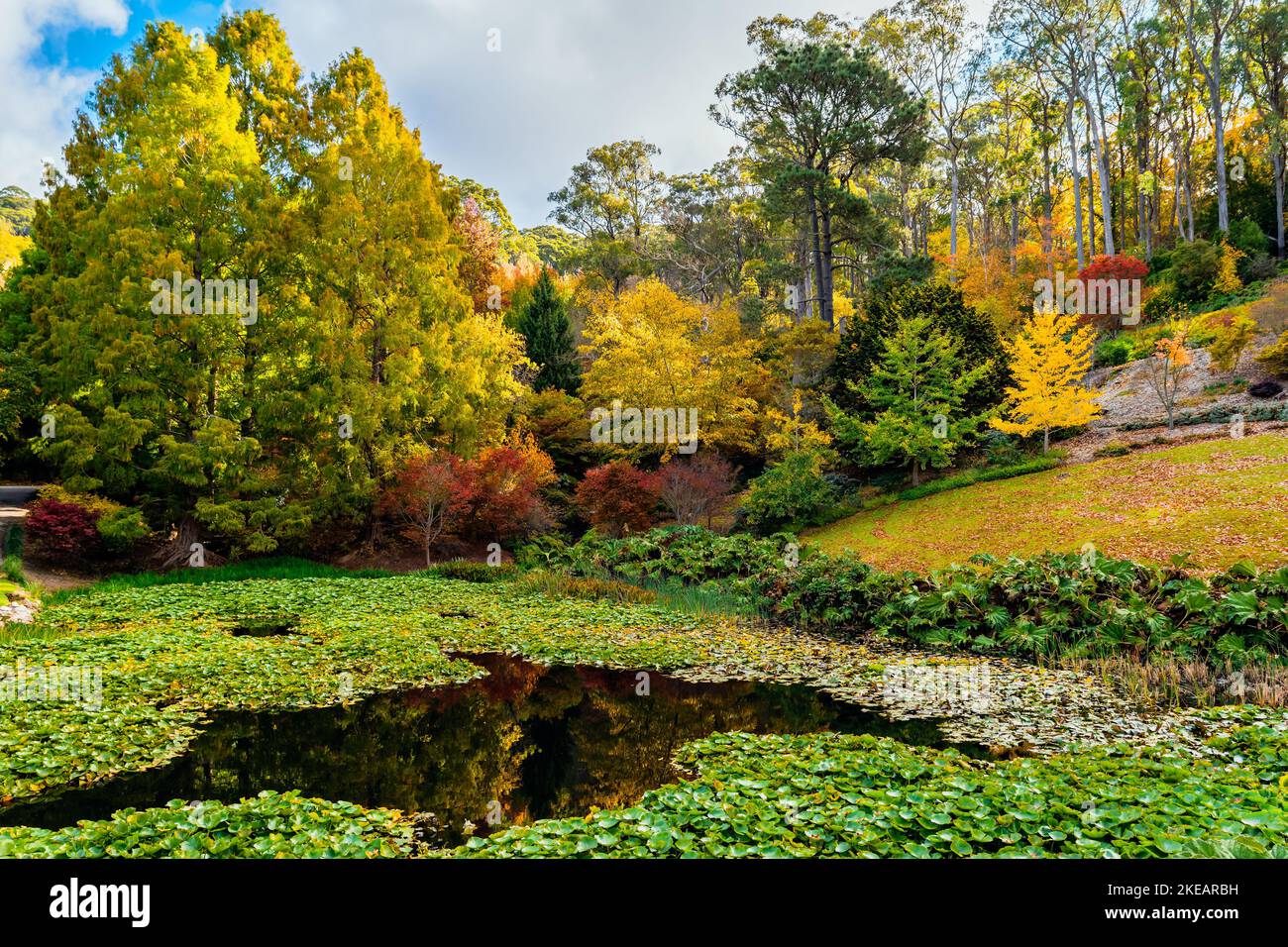 Mount Lofty public park on a day during autumn season Stock Photo - Alamy