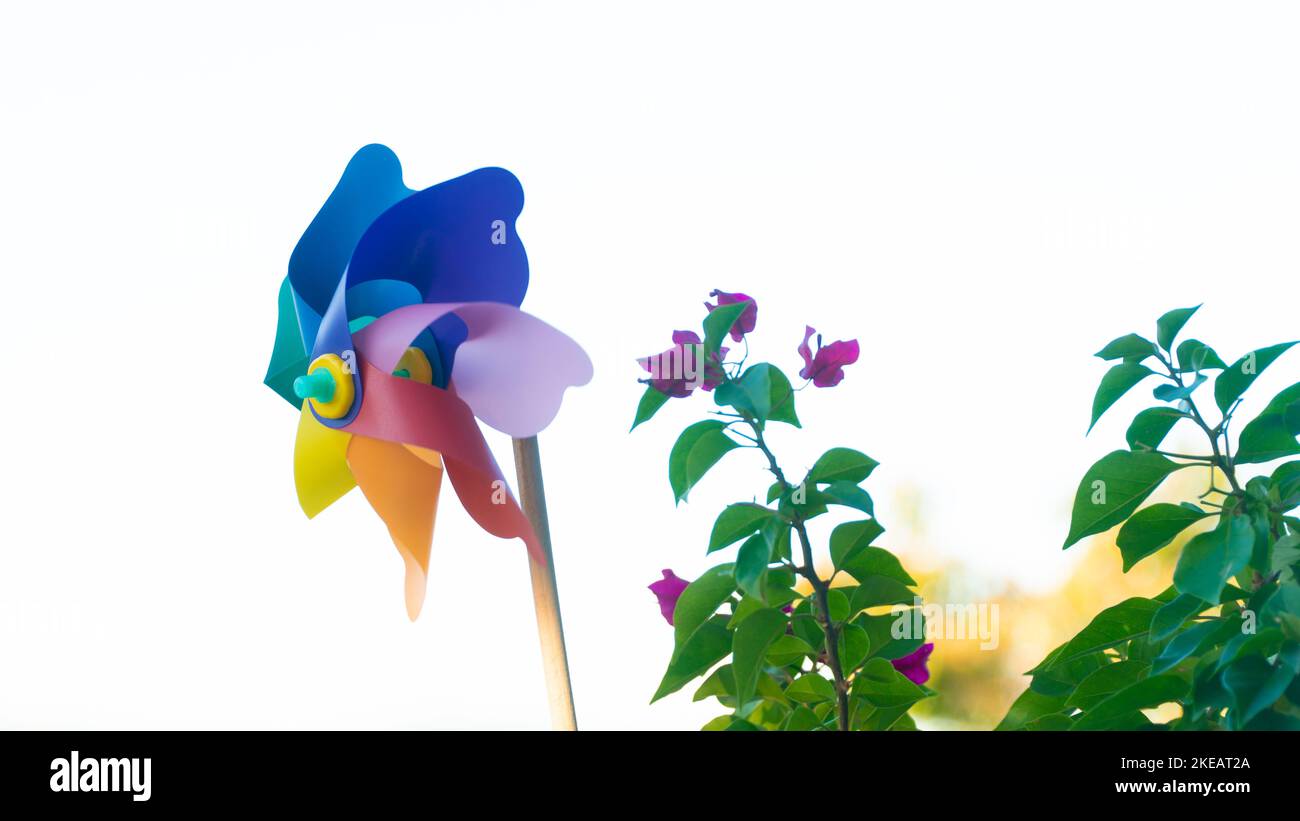 colorful wind wheel in the garden. Wind spinner decorative garden ...