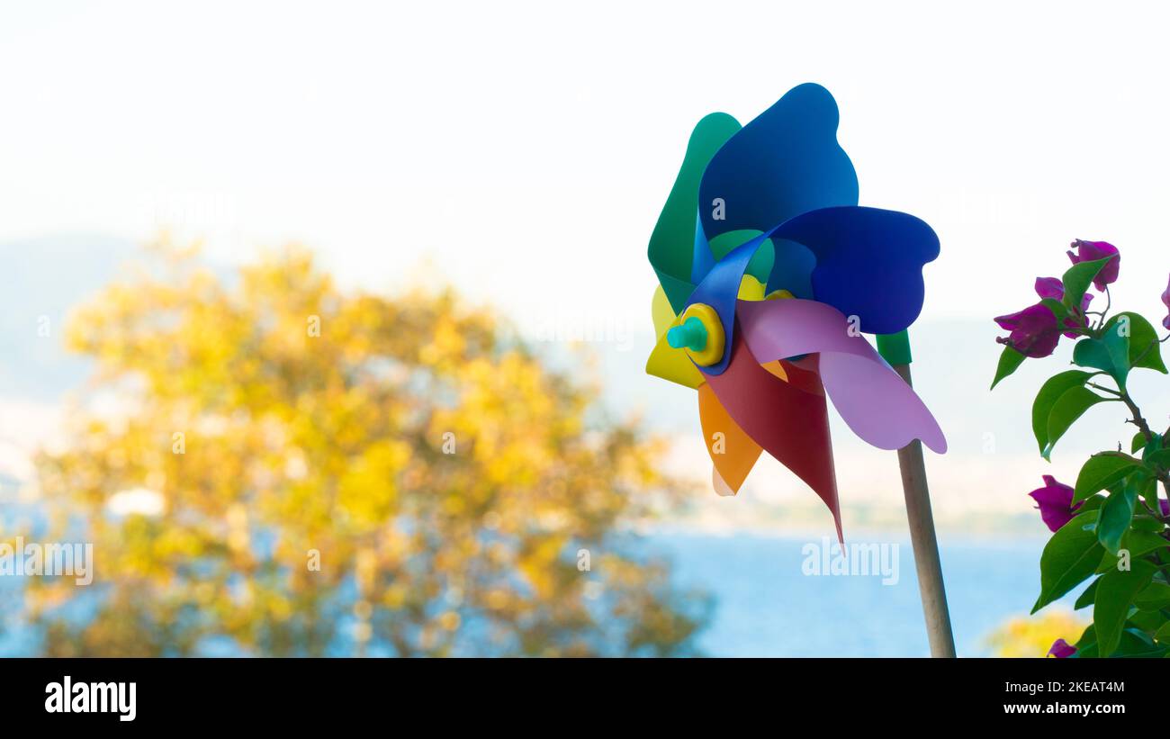 colorful wind wheel in the garden. Wind spinner decorative garden ...