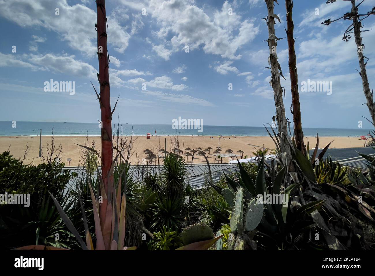 People enjoying their time on the beach in Carcavelos Stock Photo - Alamy