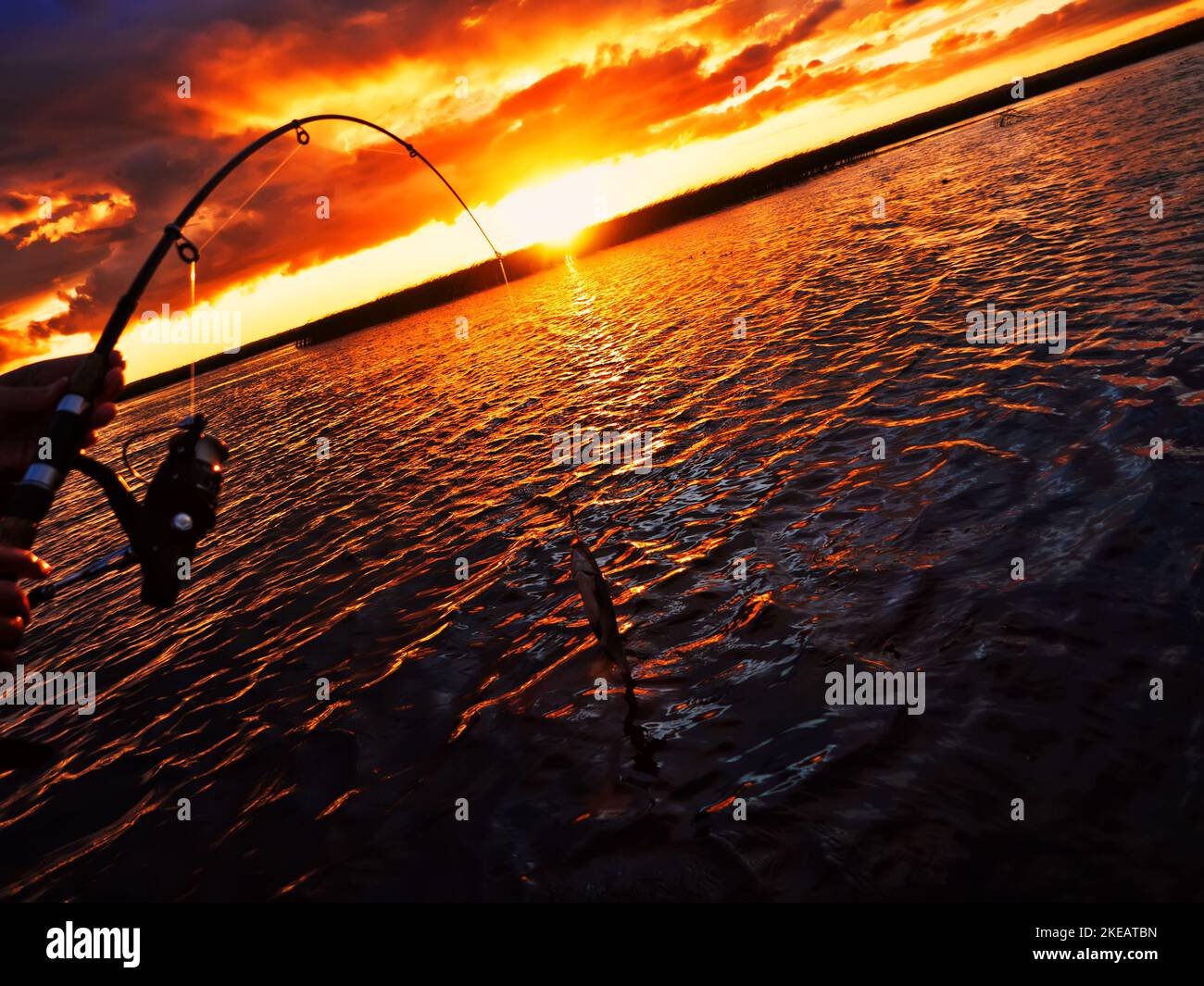 Fishing at sunset. Catching predatory fish on spinning. Sunset colors ...
