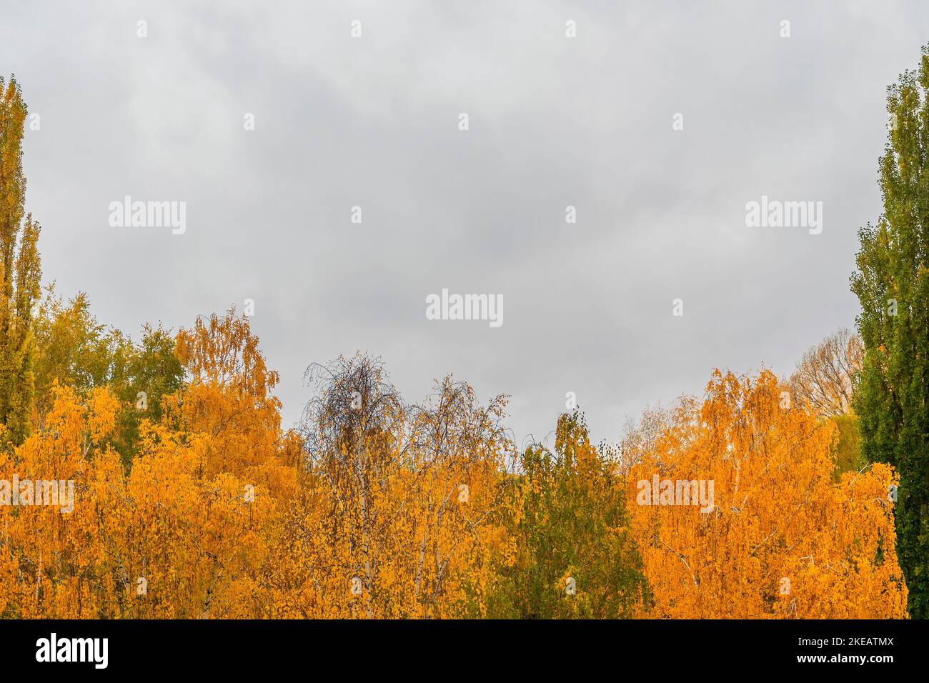 Overcast cloudy autumn sky surrounded from bottom and sides by yellow ...