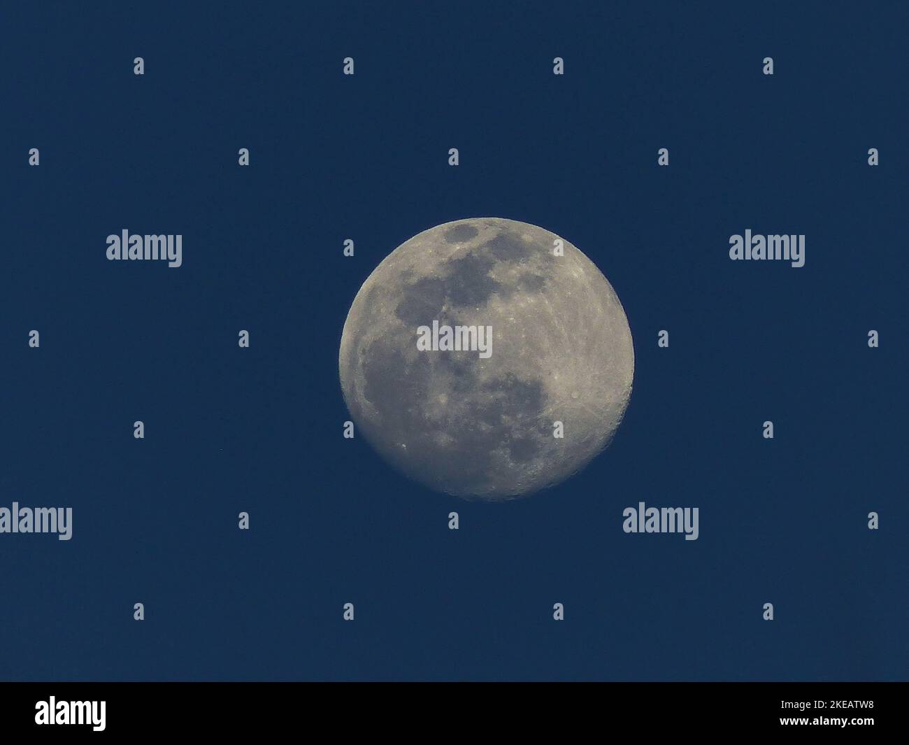 A beautiful shot of the full moon at dusk with a dark blue sky ...
