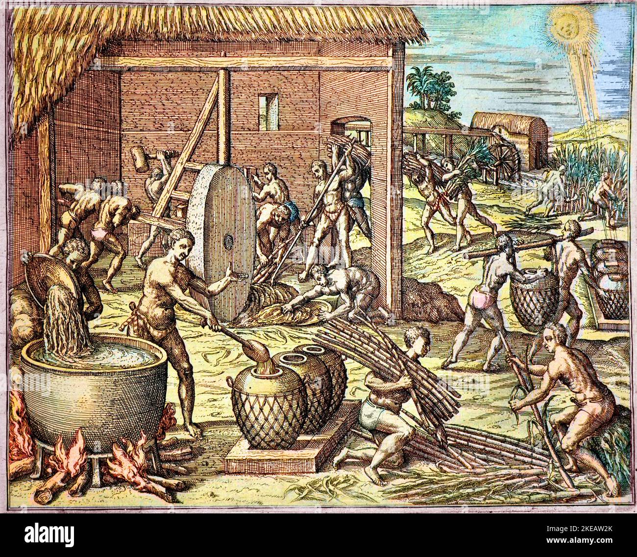 Histoire De L Amerique Recolte De La Canne A Sucre Et Fabrication Du Histoire De L Amerique Recolte De La Canne A Sucre Et Fabrication Du