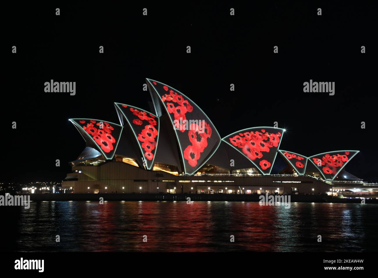 Sydney opera house poppies hi-res stock photography and images - Alamy