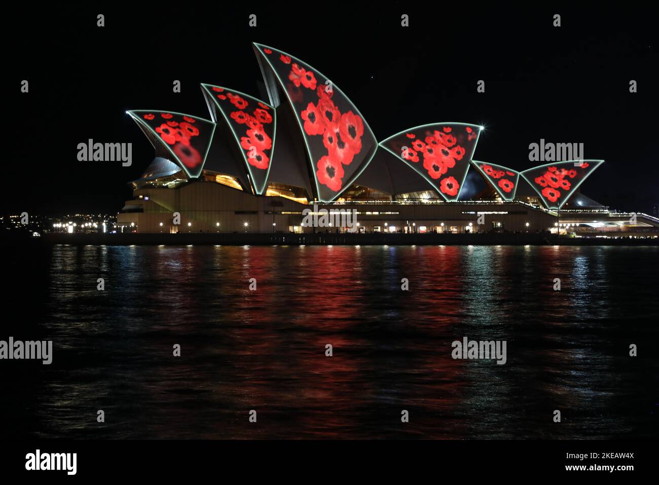 Sydney opera house poppies hi-res stock photography and images - Alamy