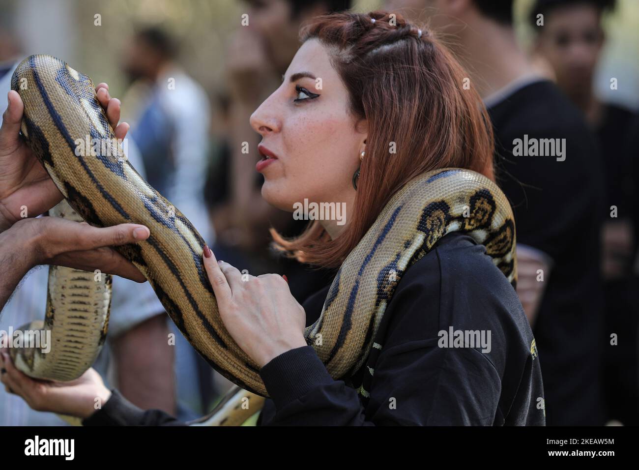 Baghdad, Iraq. 11th Nov, 2022. A reptile breeder allows a woman to hold ...