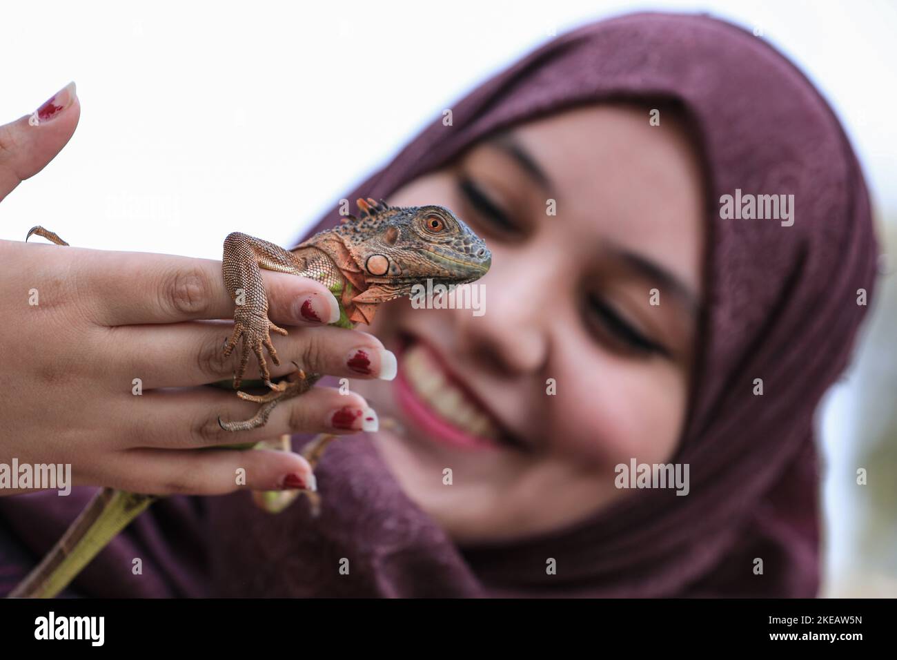 Baghdad, Iraq. 11th Nov, 2022. A woman smiles as she carries a lizard ...