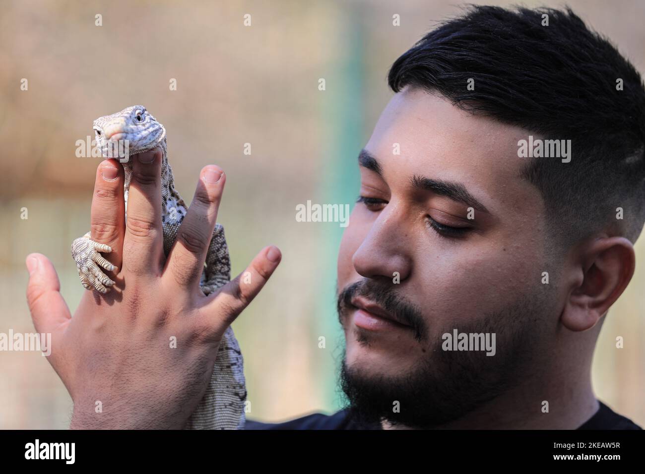 Baghdad, Iraq. 11th Nov, 2022. A reptile breeder holds a lizard during ...