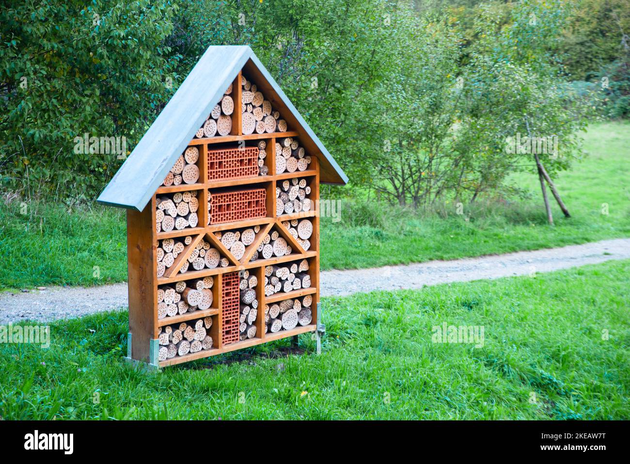 Wooden insect hotel, habitat for bugs and bees, rescue house ...