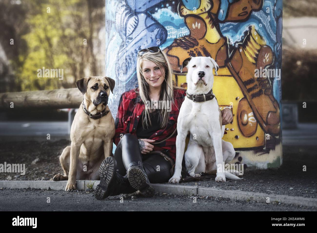 woman with Cano-Corso-Mongrel Stock Photo - Alamy