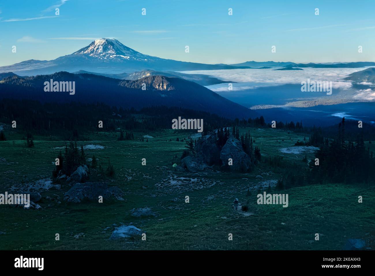 Mount Adams and sea of clouds, Goat Rocks Wilderness, Pacific Crest ...