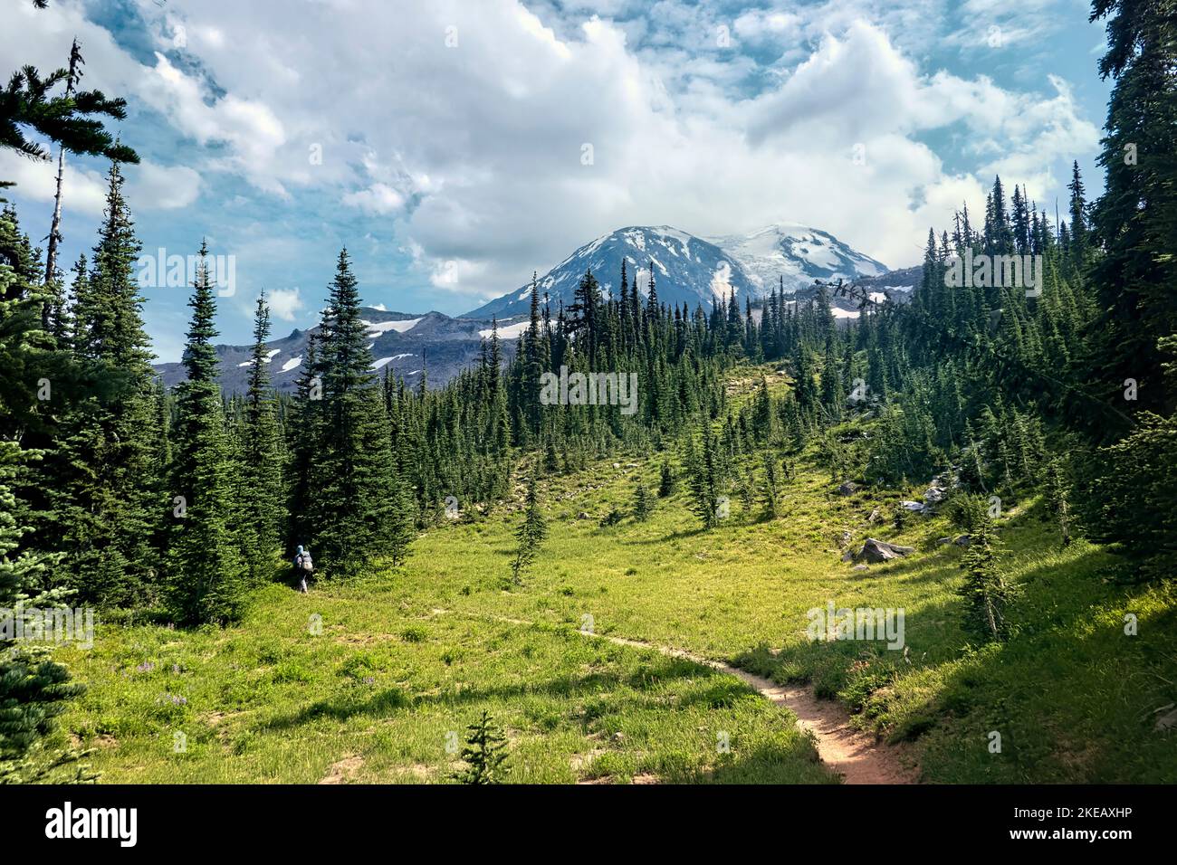 Trekking towards Mt. Adams, Pacific Crest Trail, Washington, USA Stock ...