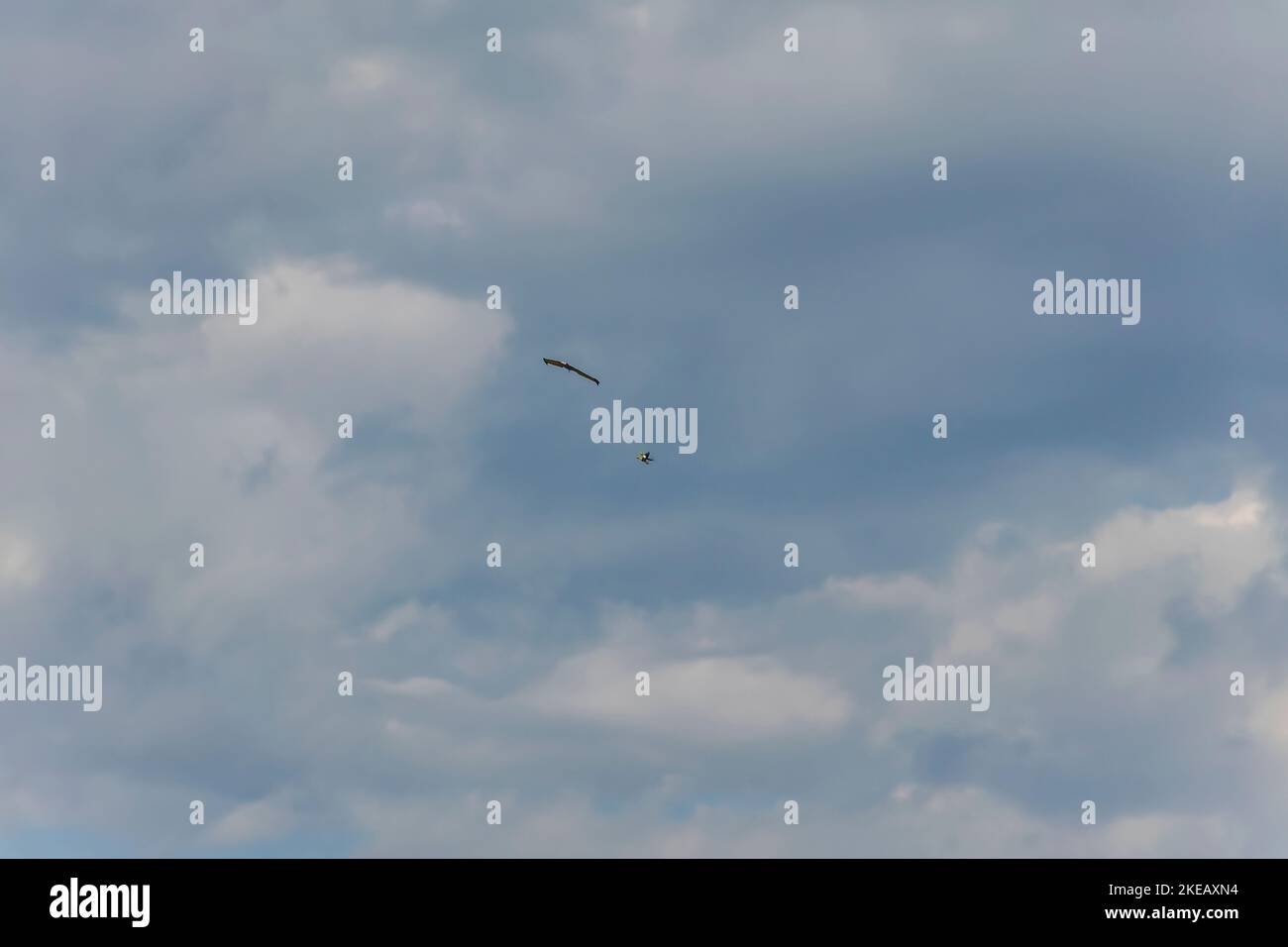 A quadcopter drone and a remote-controlled aircraft drone UAV flying ...