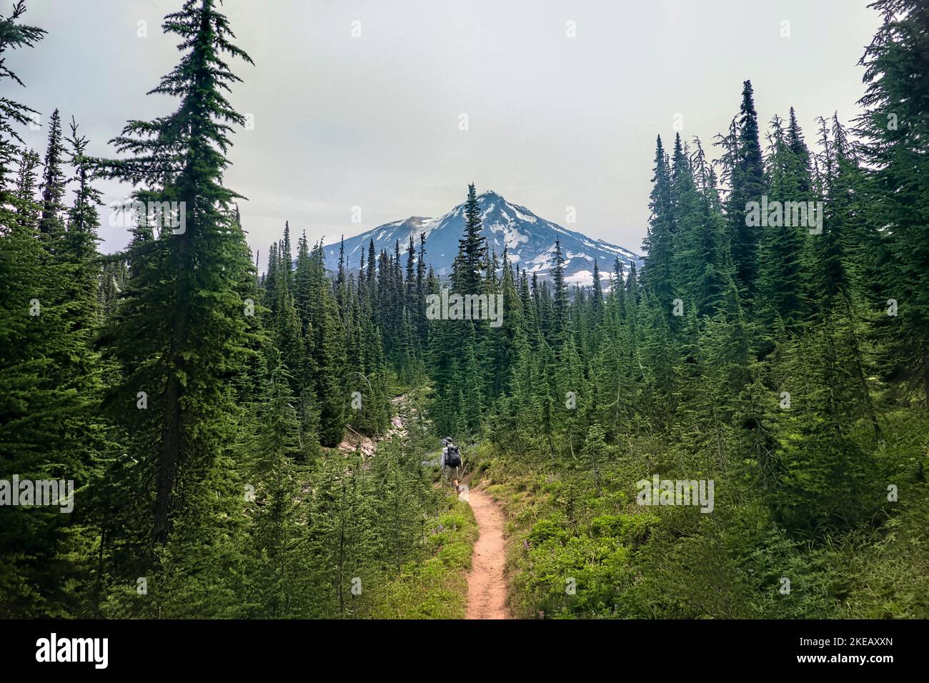 Mount adams washington crest trail hi-res stock photography and images ...