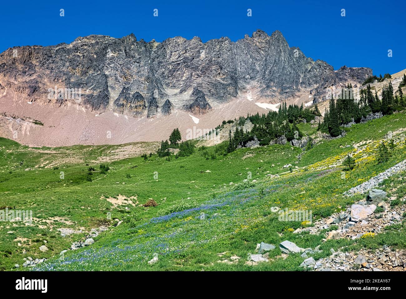 Trekking to Cispus Pass, Goat Rocks, Pacific Crest Trail, Washington ...