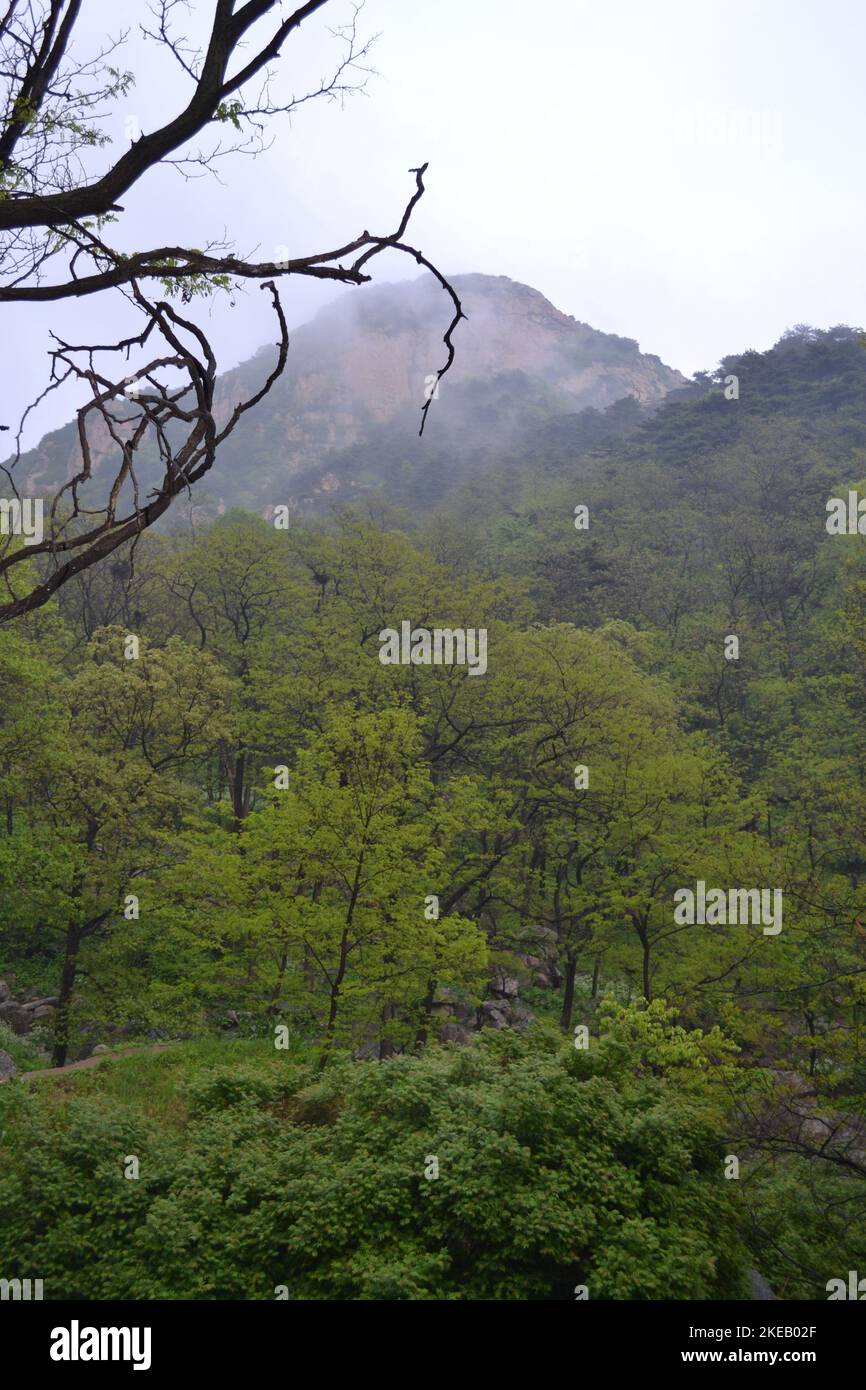 China taishan hi-res stock photography and images - Alamy