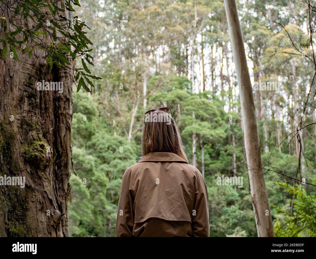 A backside view of a woman with blonde hair and a coat enjoying the ...