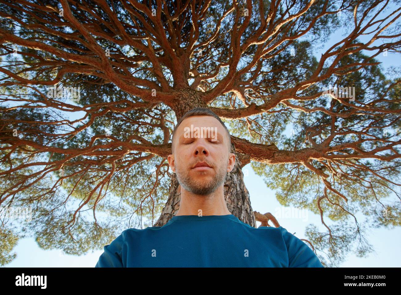 Yoga meditation in nature under the big tree. A man with closed eyes ...