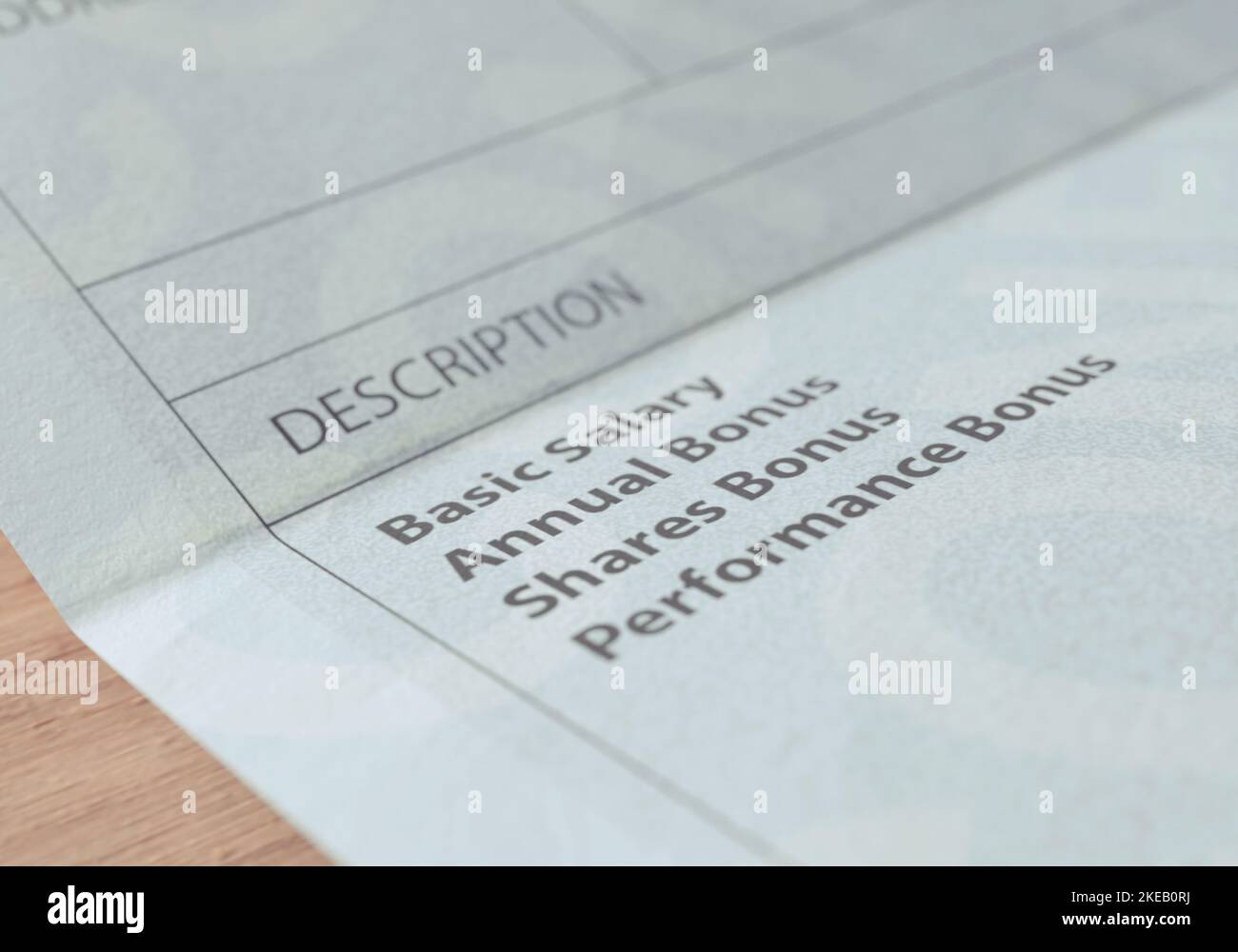 A concept showing the earnings section of a typical employment paycheck ...