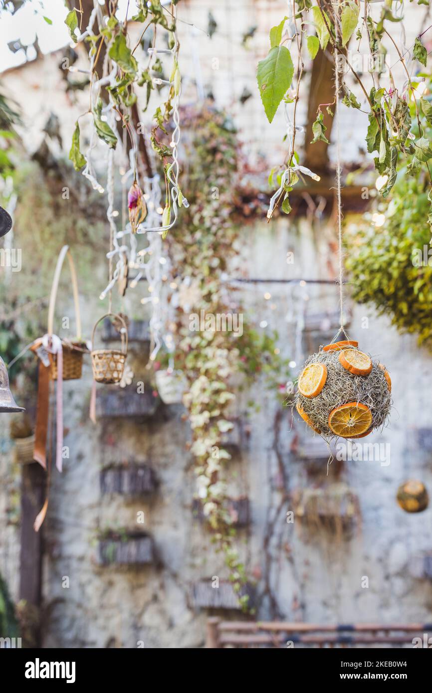 Natural decoration made of dry orange slices on Christmas tree. Diy ...