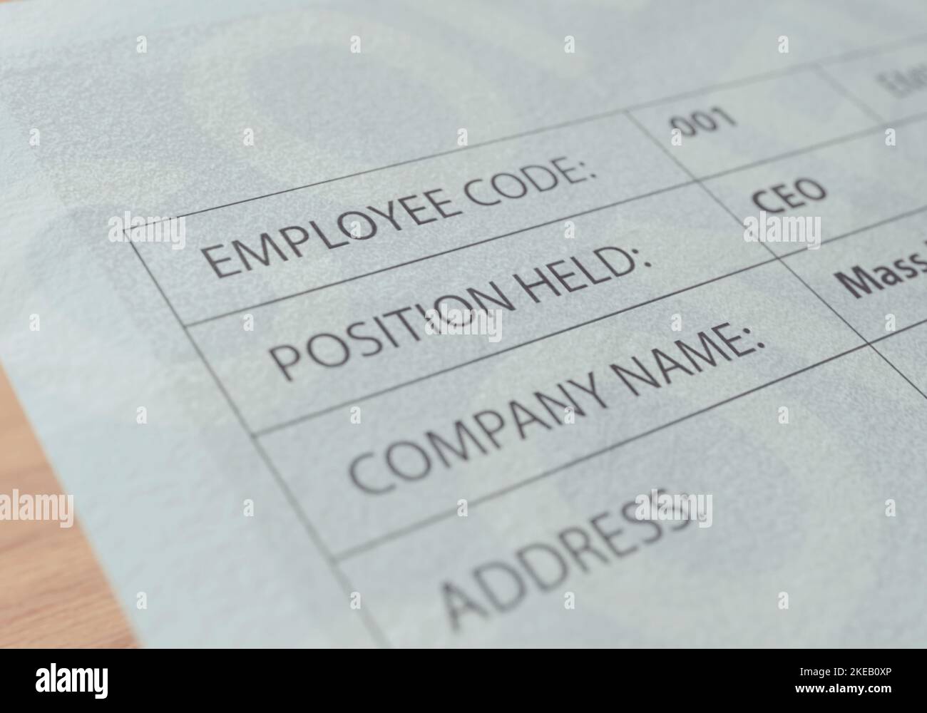 A concept showing the employee details section of a typical employment ...