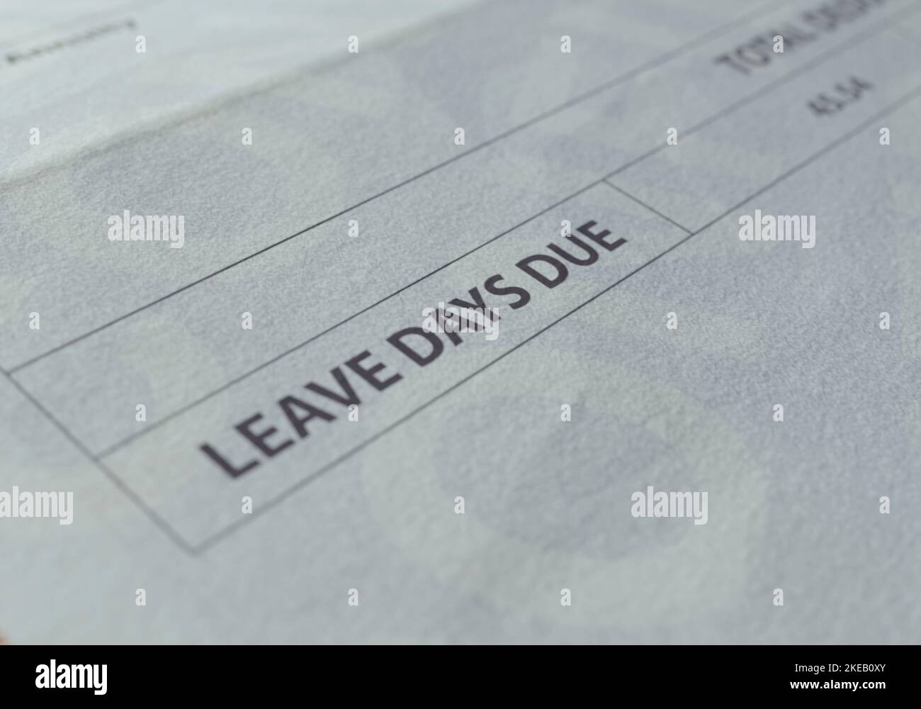 A concept showing the leave day due section of a typical employment ...