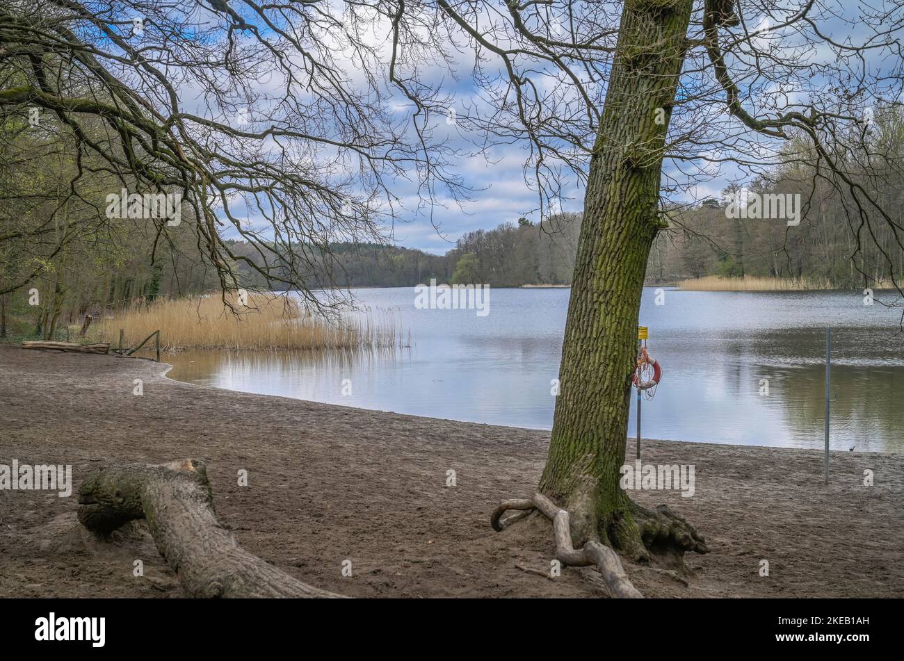 Grunewaldsee, Grunewald, Charlottenburg-Wilmersdorf, Berlin ...