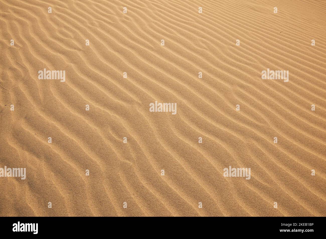 A beautiful sand texture. A wavy desert background. A sand dune ...
