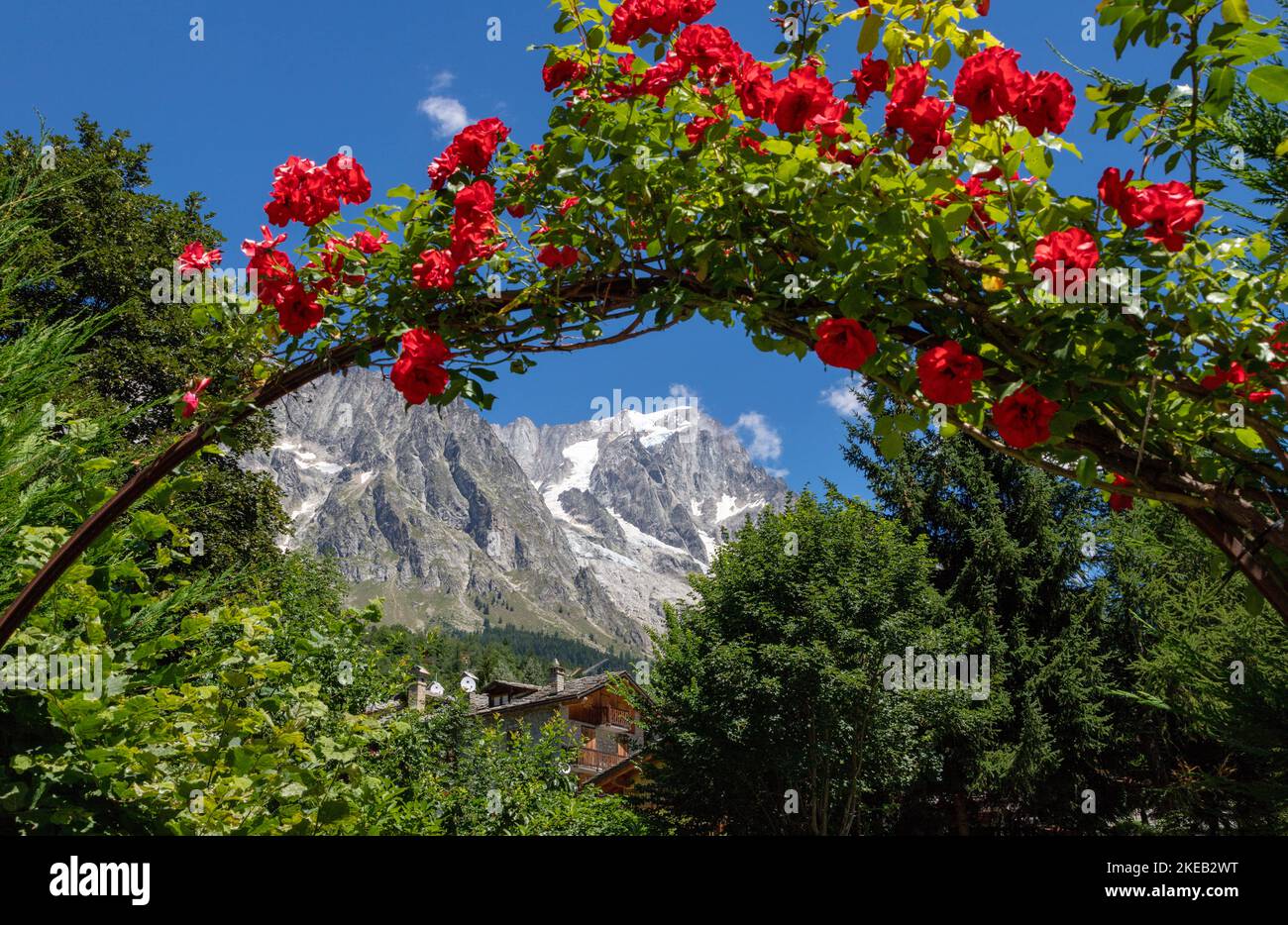 The Grand Jorasses massif from Entreves amont the rosses - Val Ferret ...