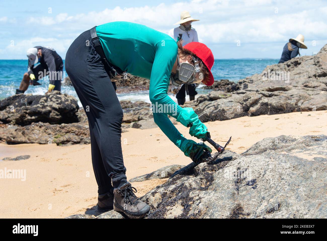 Volunteers clean up oil at Rio Vermelho beach in the city of Salvador ...