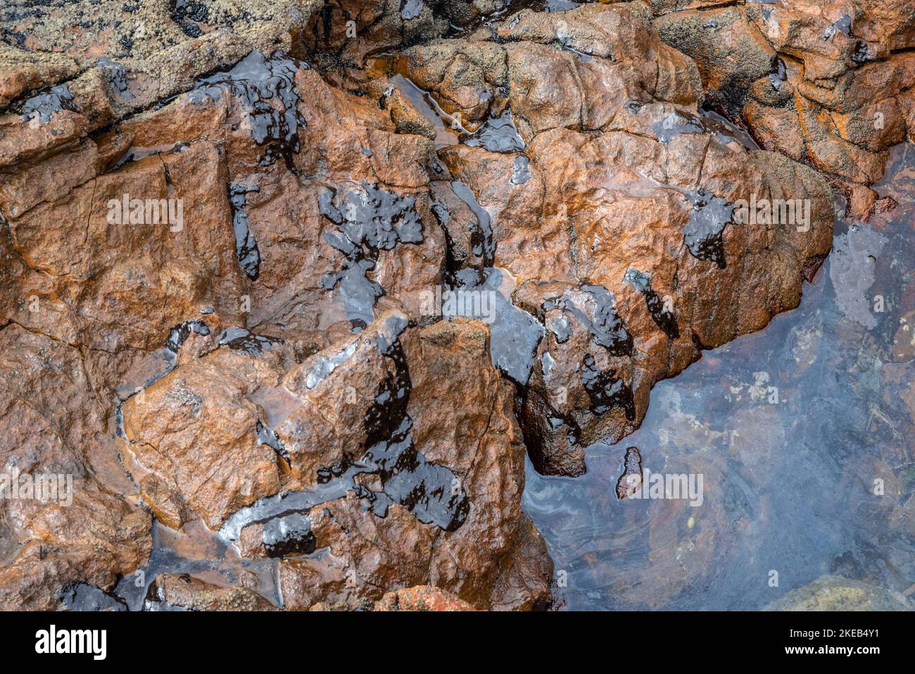 The sea beach and the rocks are polluted with oil. Crude oil spill in ...