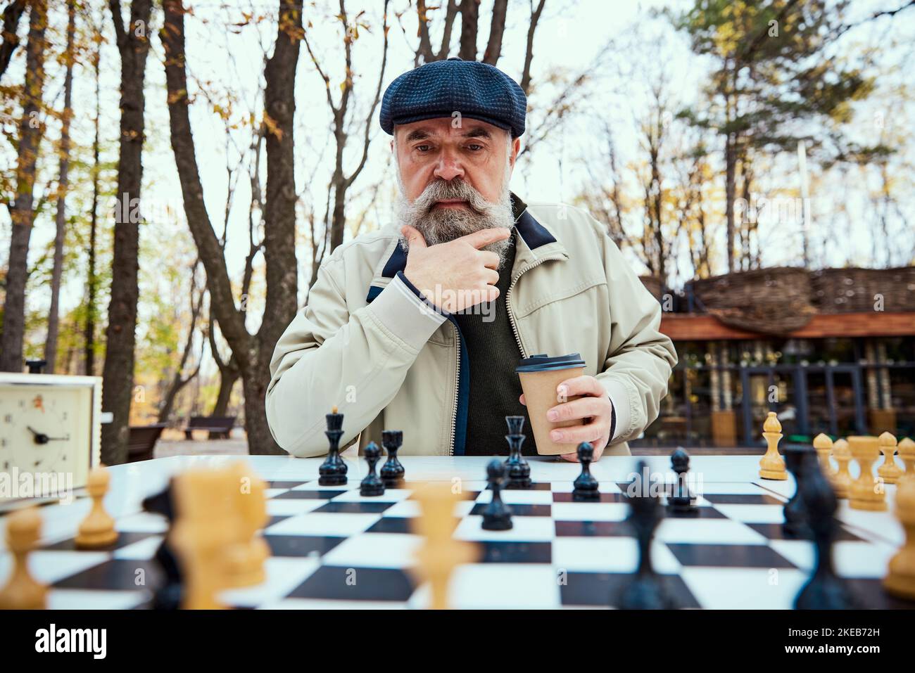 Portrait of senior man playing chess in the park on a daytime in fall ...