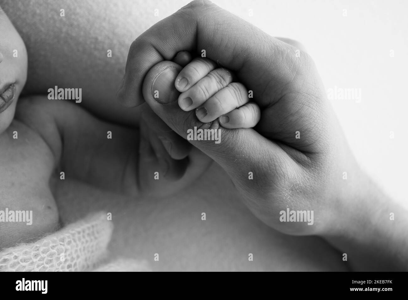 A newborn holds on to mom's, dad's finger. Hands of parents and baby ...