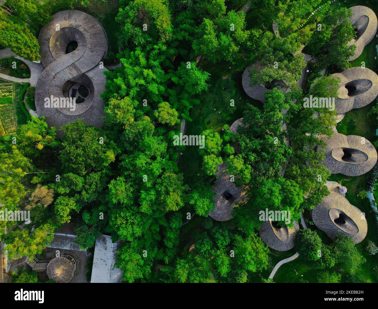 Aerial photos show a homestay hidden in the bamboo forest, which looks ...
